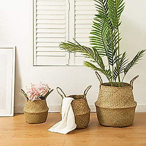 BrilliantJo Seagrass Belly Basket, Set of 2 Woven Plant Pot Holder handmade Home Decor for Storage Plants Picnic Grocery Medium(10.63 x 9.44 inch)