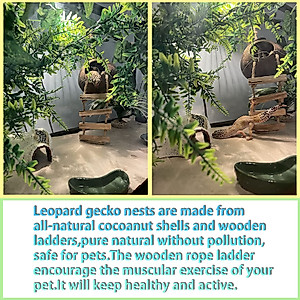 kathson Leopard Gecko Coconut Husk Hut Reptile Habitat Accessories Hideout Hole Climbing Ladder Bendable Hanging Plants Sleeping Hiding Breeding Apply to Amphibians and Small Animals