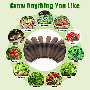 150Pcs Seed Pod Kit for Aerogarden, Anglecai Hydroponics Garden Accessories for Hydroponic Growing System, Grow Anything Kit with 50 Grow Sponge, 50 Pod Label, 24 Grow Basket, 24 Grow Dome, 2 Tweezers