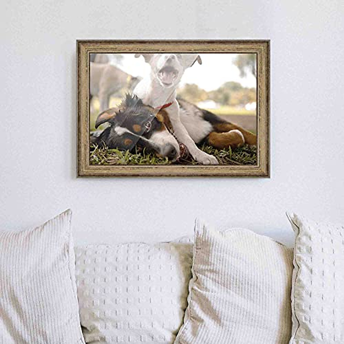 14x22 Frame Tarnished Silver Solid Wood Picture Frame Width 1.5 Inches | Interior Frame Depth 0.5 Inches | Oddone Traditional Photo Frame Complete with UV Acrylic, Foam Board Backing & Hanging
