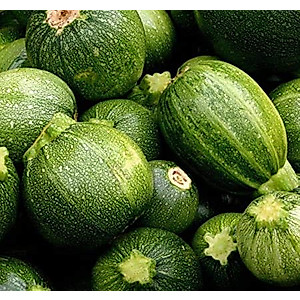 Round Zucchini Summer Squash Seeds for Planting, (Eight Ball Zucchini), 40+ Heirloom Seeds Per Packet, (Isla's Garden Seeds), Non GMO Seeds, Botanical Name: Cucurbirta Pepo