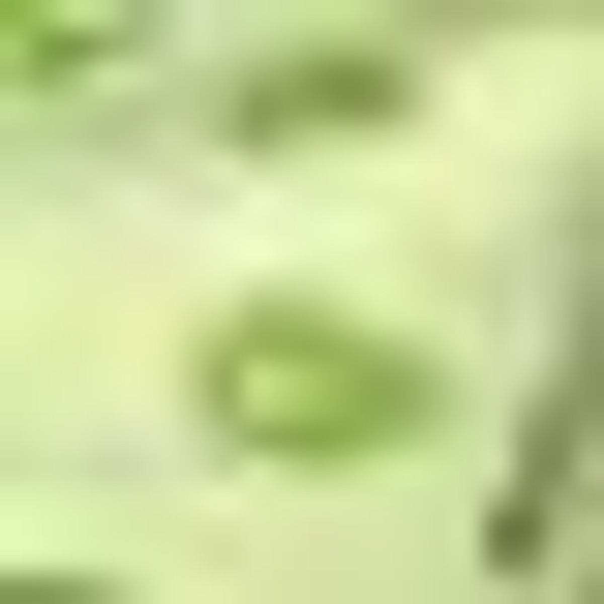 Qwalnely Frog Backpack School Bookbag Laptop Durable Waterproof Adjustable Backpacks for Girls Women & Boys Men