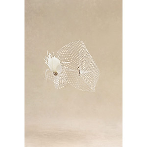 BABEYOND Veil Fascinator Hat for Women Feather Fascinators Hair Clip with Removable Veil Tea Party Hat Bridal Wedding