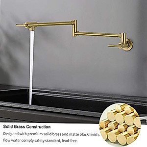 LEETCP Pot Filler Faucet Wall Mount, Brass Material, Brushed Gold Color, with Double Joint Swing Arms, 2 Handles with 2 Cartridges to Control Water (Style Brushed Gold)