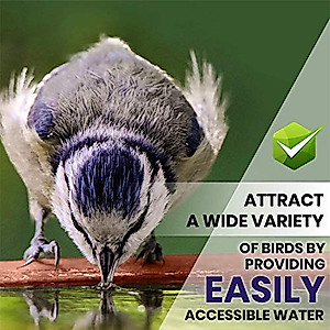 Erva D14CL 14 in. dia. Bird Bath Plastic Dish; Terra Cotta