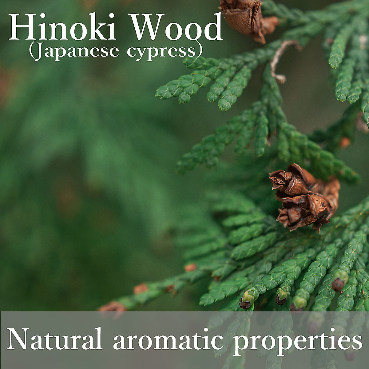 Nezame Japan Hinoki Cypress Lightweight Cutting Board 11 x 7" Japanese Natural Products Wood Chopping Board