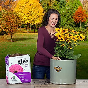 Glee Potting Mix – Lightweight, Compact Potting Soil for Growing Indoor and Outdoor Plants | Expands to 25 qt. from 0.4 to 1 cu ft (One Pack)