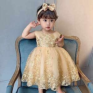 Christening Embroidery Lace Birthday Christmas Easter Flower Baby Girl Dress Princess Formal Prom Tutu Ball Gown 3M Gold B 60