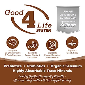 NutriSource Grain Free Dry Dog Food for Large Breeds, Lamb Meal, Salmon Meal and Peas, 26LB