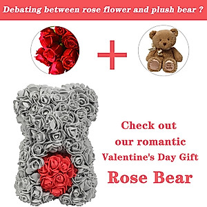 yiwuhongyuz Rose Bear -Over 250+ Flowers Rose Teddy Bear -Valentines Day Gifts for Girlfriend Women, Flower Bear Gifts for Mothers Day for Mom, Anniversary Birthday Gifts - Rose Bear with Box (Grey)
