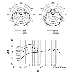 Shure Beta 58A Supercardioid Vocal Microphone & Pig Hog Black & White Woven Mic Cable, 20ft XLR - Bundle
