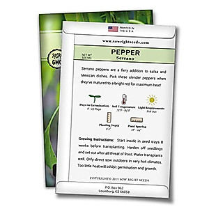 Sow Right Seeds - Serrano Hot Pepper Seed for Planting - Non-GMO Heirloom Packet Instructions to Plant an Outdoor Home Vegetable Garden - Productive and Hot Chili Peppers - Hydroponics Growing(1)