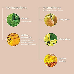 Pureology Nanoworks Gold Shampoo | For Very Dry, Color-Treated Hair | Renews Softness & Shine | Sulfate-Free | Vegan- 9 Fl Oz