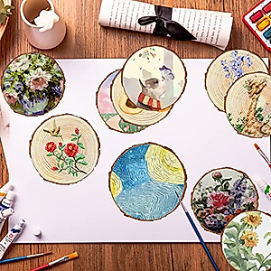 FSWCCK 17 PCS Unfinished Wood Slices for centerpieces 5.1-5.5 Inch,Round Wooden Discs with Tree Bark,Wood Cookies Circles for Crafts Christmas Ornaments,Wood Slice for Rustic Wedding Decoration