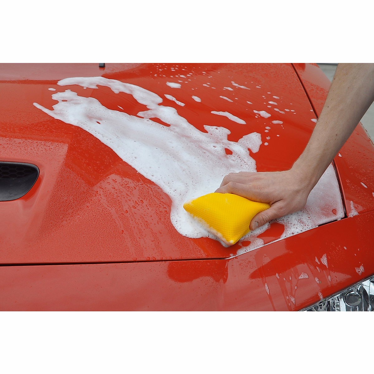 Detailer's Preference Microfiber Bug Scrubber Sponge