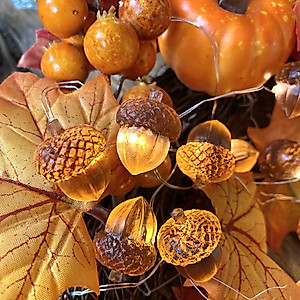 JASHIKA 3D Twinkle Acorn Fall Decorations Harvest String Lights 10ft Copper Wire 30 LEDs Battery Powered with Timer Remote Control for Wedding Bedroom Fireplace Mantel Ice Age Ornaments Home Decor