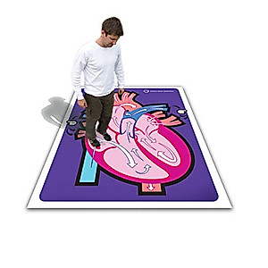 American Educational Human Heart Walk-Thru Mat, 60" Length x 50" Width