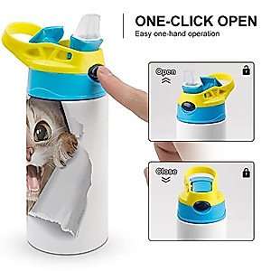 Thermos Cup 500Ml Cartoon Cat Insulated Water Bottle With Straw For Sports And Travel