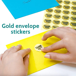 T MARIE 48 Funny Thank You Cards with Colorful Envelopes and Gold Stickers - Bulk 4x6” Boxed Set for Employee Appreciation Cards, Kids, Friends, Staff and Customers - Cute Animal Designs