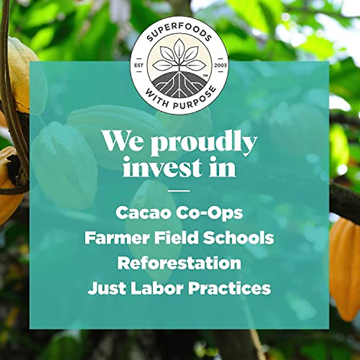 Navitas Organics Raw Cacao Nibs, 8 oz. Bag, 76 Servings — Organic, Non-GMO, Fair Trade, Gluten-Free