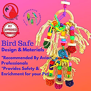 Bonka Bird Toys 1845 Pluck My Rings Colorful Natural Foraging Chew Wood Preen Sisal Vine Parrot Amazon African Grey Conure Rosetta Cockatiel Parakeet