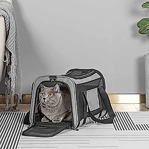 Petsfit Most Airline Approved Cat Carrier Dog Carriers Soft-Sided Pet Washable Travel Carrier for Puppies/Kittens/Rabbit,5-Sided Breathable mesh/Self-Lock Zippers