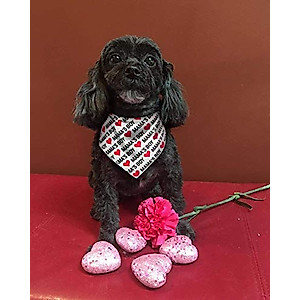 2 Pack Valentine's Dog Bandana, Puppy Valentine Scarfs for Small Dogs Cats