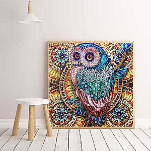 Hibah Diamond Painting DIY 5D Special Shape Rhinestone, Owl, Partial Diamond Crystal Diamond Painting Set (Mandala)