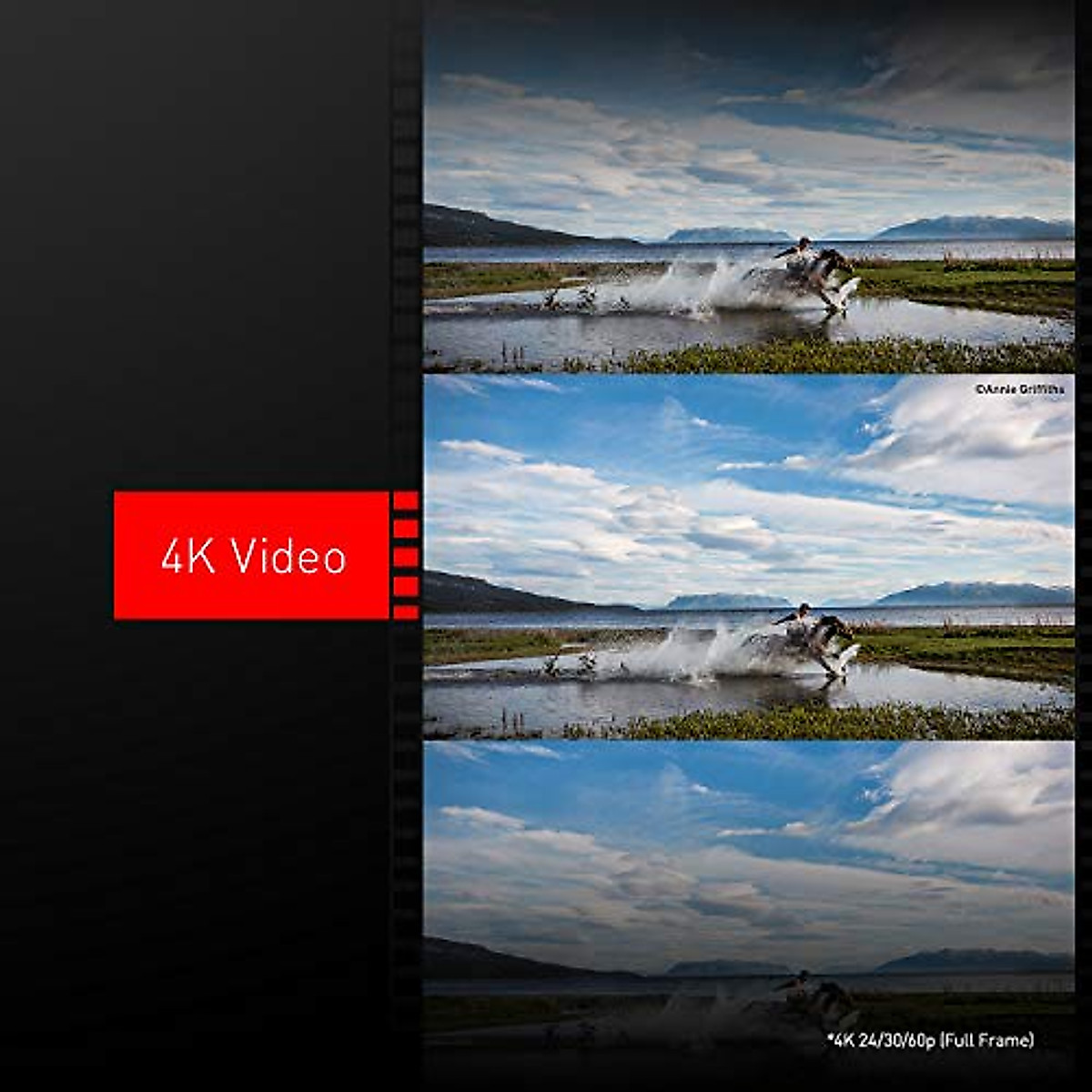 Panasonic LUMIX S1R Full Frame Mirrorless Camera with 47.3MP MOS High Resolution Sensor, 24-105mm F4 L-Mount S Series Lens, 4K HDR Video and 3.2” LCD - DC-S1RMK