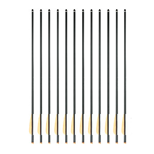 Wizard Archery SAS Carbon Crossbow Bolts 20 22 Inch with 3 inches Shield Vanes Pulletpoint Arrowhead Tip and Halfmoon Nock - 12/Pack - for Hunting Target Practice Archery Arrows (20 inches ) Orange/White Vanes