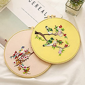 Picoey Birds Embroidery Kit for Beginners with Pattern and Instructions,4 Pack Cross Stitch Kits,2 Wooden Embroidery Hoops,Threads and Needles,Needlepoint Kit for Adults