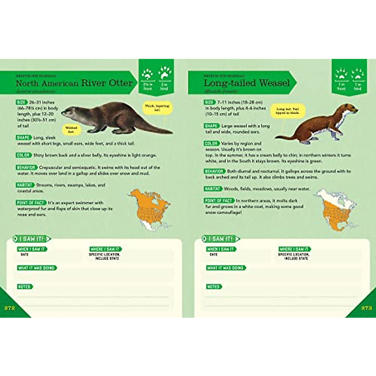 Outdoor School: Animal Watching: The Definitive Interactive Nature Guide
