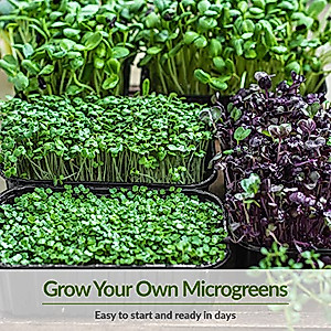Survival Garden Seeds Microgreens 10 Pack - Instructions to Plant, Sprout, and Grow a Mix of Microgreen Plants - Arugula, Broccoli, Radish, Pea, Sunflower, Basil, Cabbage, Buckwheat, Kale, Beet Seed