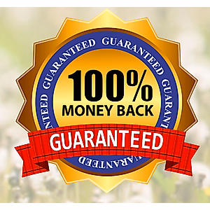 SeizureGuard Plus Dog Seizure & Epilepsy Supplement. Great Supplement for Dogs with Seizures! Can be Used Alone or with Seizure Medication for Dogs.