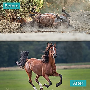 Aemygo 3 Pcs Reversible Stainless Steel Curry Comb 5 Rings, Double Sided Horse Grooming Brush, Scotch Type Metal Dog Brush Large Rubber Hair Remover Comb, Soft Touch Grip Scraper for Cow Sheep Dog