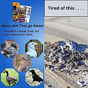 Flock Free Bird Repellent Spray, Residential Bird Problem Solution Bird Control, 4 oz Concentrate (1)