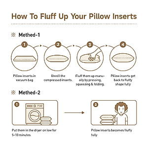 Acanva Premium Polyester Stuffer Square Form Sham Throw Pillow Inserts, 22 in（2 Count）, White