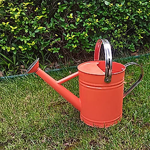 yourjoy Metal Watering Can, One Gallon Watering Cans Stainless Steel Handle for Outdoor Indoor Garden Plants Watering (Flat Handle Orange)