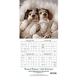 2021 Pooped Puppies 16-Month Wall Calendar