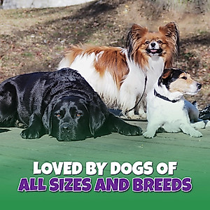 Turkey Tendons for Dogs Made in USA with 100% Turkey and No Glycerin, Healthy Jerky Dog Treats for Medium Dogs, Natural Dog Chews, Dog Jerky Treats, Human Grade Dog Treats Small Dogs, 12 oz Bag.