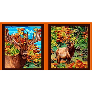 FlashPhoenix Quality Sewing Fabric - ELK Fabric Autumn Blaze 23 x 44 Inch Pillow Panel (2 Blocks) Quilting Squares 100% Cotton