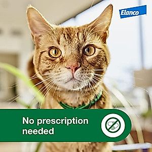 Advantage® XD NEW Flea Prevention & Treatment for Large Cats Over 9 lbs, 2 Topical Doses, 4-Month Coverage, Long Lasting