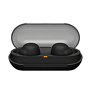 Sony WF-C500 Truly Wireless in-Ear Bluetooth Earbud Headphones (Black) with Earbud Case Bundle (2 Items)