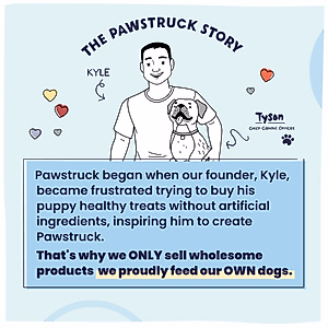 Pawstruck All Natural Air Dried Dog Food with Real Beef, Grain Free, Made in USA, Non-GMO, Vet Recommended, High Protein Limited Ingredient Full-Feed, All Breeds & Ages, 2.5oz Trial Bag