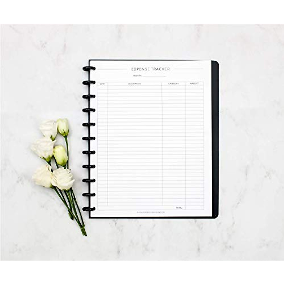 BetterNote Finance Plan Refill for Discbound Notebooks, Bill, Account, Expense, Budget, Fits Levenger Circa, The Happy Planner, Arc Systems, TUL, Talia, 1 Year Supply (11-Disc, 8.5"x11")