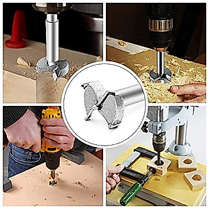 Utoolmart Forstner Drill Bits, 100mm Cemented Carbide Wood Cutter Tool, Hex Shank Woodworking Hole Saw Cutter, 80mm Length Woodworking Hole Boring Bit, Gray