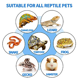 INOSCIND 15.7“ × 11.8" Reptile Basking Platform,Slate for Tortoise,Turtle Feeding Slate,Habitat Decor Accessories Basking Rocks for Bearded Dragons Chameleon Snake Frog Lizard Gecko Bowl