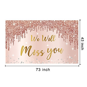 Going Away Party Decorations We Will Miss You Banner Backdrop for Women, Rose Gold Goodbye Farewell Party Sign Supplies, Pink Retirement Graduation Party Poster Background Photo Booth Props Decor
