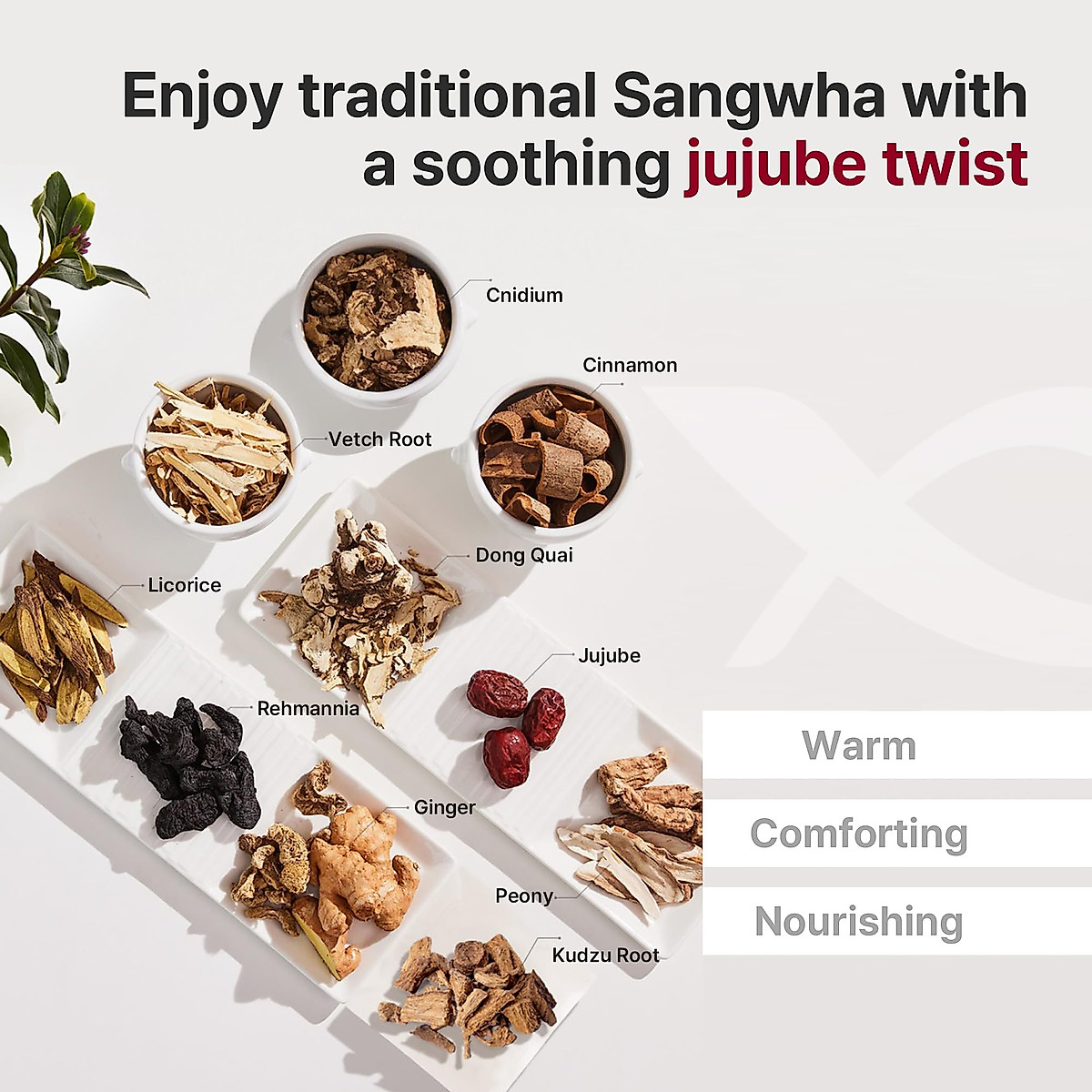 KWANGDONG Ssang Hwa Jin - Korean Traditional Herbal Tea for Strong Immune Support, Natural Sustained Energy Boost, Digestive Health, Promotes Vitality and Cold Relief, Jujube 10P