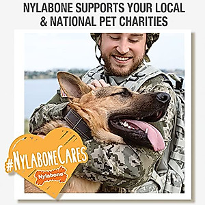 Nylabone Strong MAX Chew Cone Stuffable Chew Toy for Dogs MAX Cone Beef Medium/Wolf (1 Count)